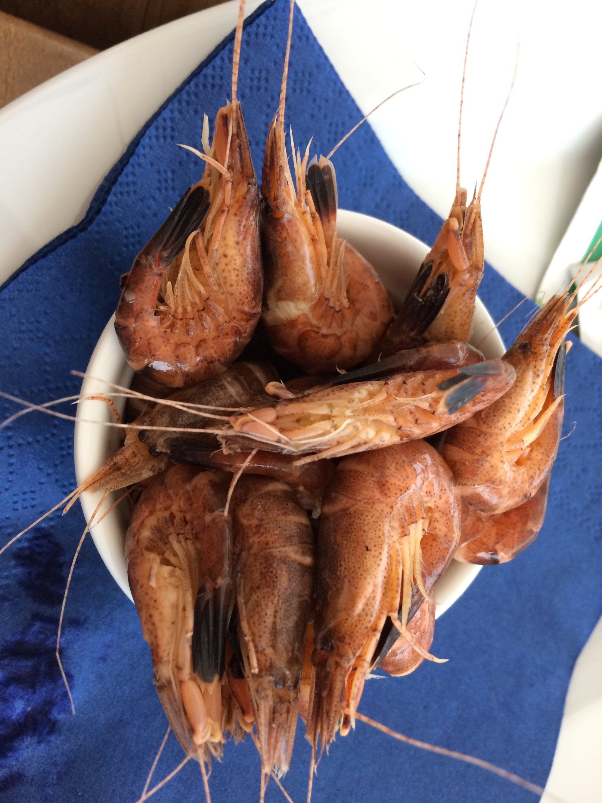 Unesco intangible cultural heritage: horse-riding shrimp fishermen of ...