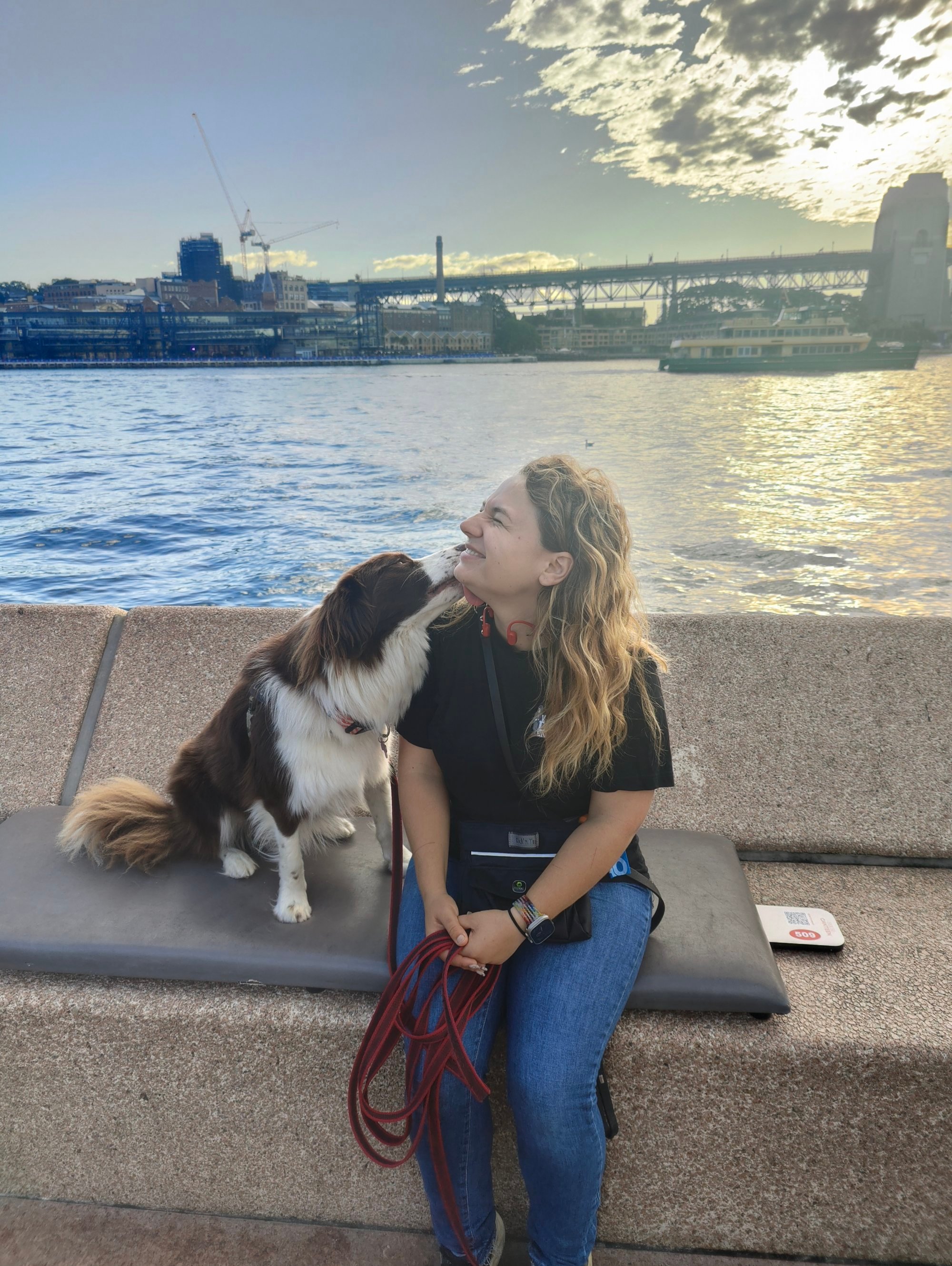 These trained dogs at the Sydney Opera House precinct rescue tourists ...