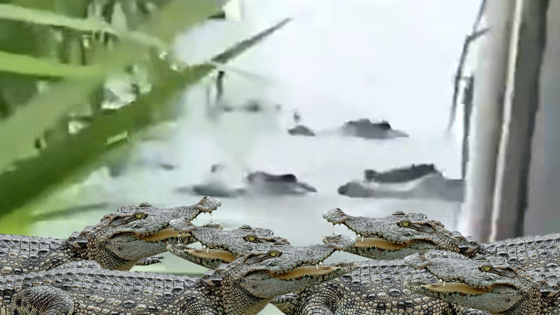 Yating Yang | South China Morning Post