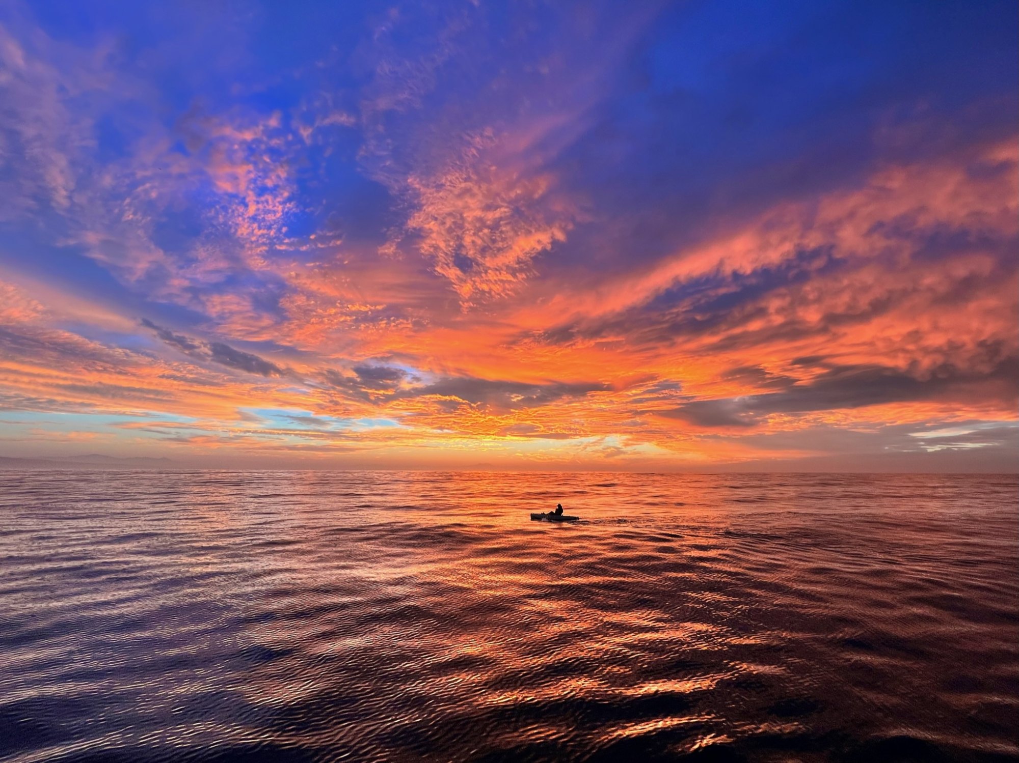 Meet the Hong Kong art dealer who conquered swimming’s open water ...
