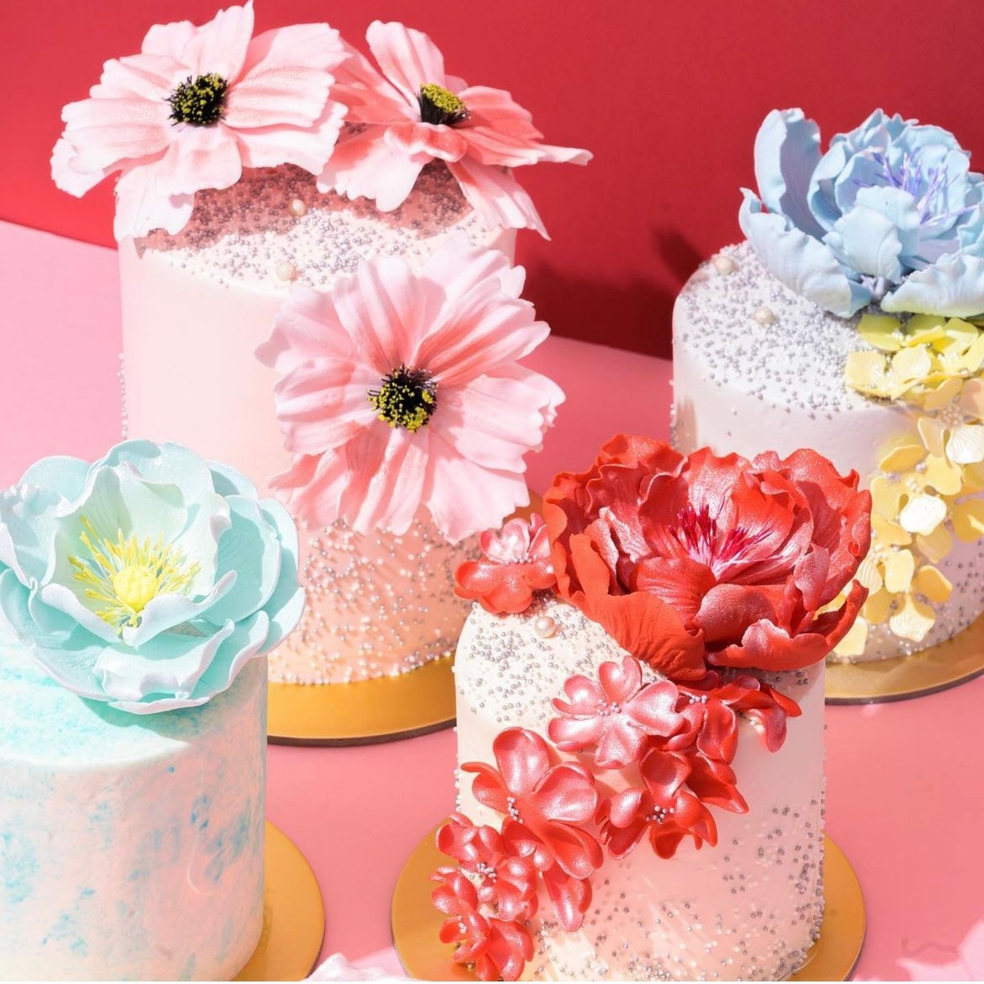 Why this Hong Kong architect quit her job to become a baker: Yvette Yan ...