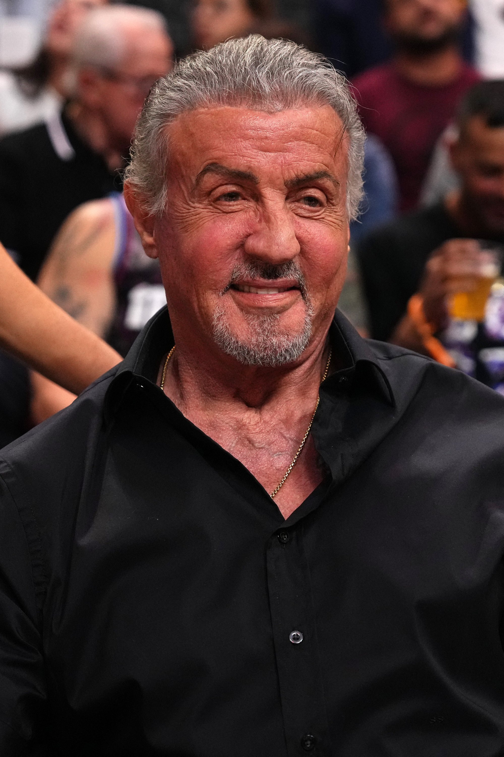 Sylvester Stallone Steroide