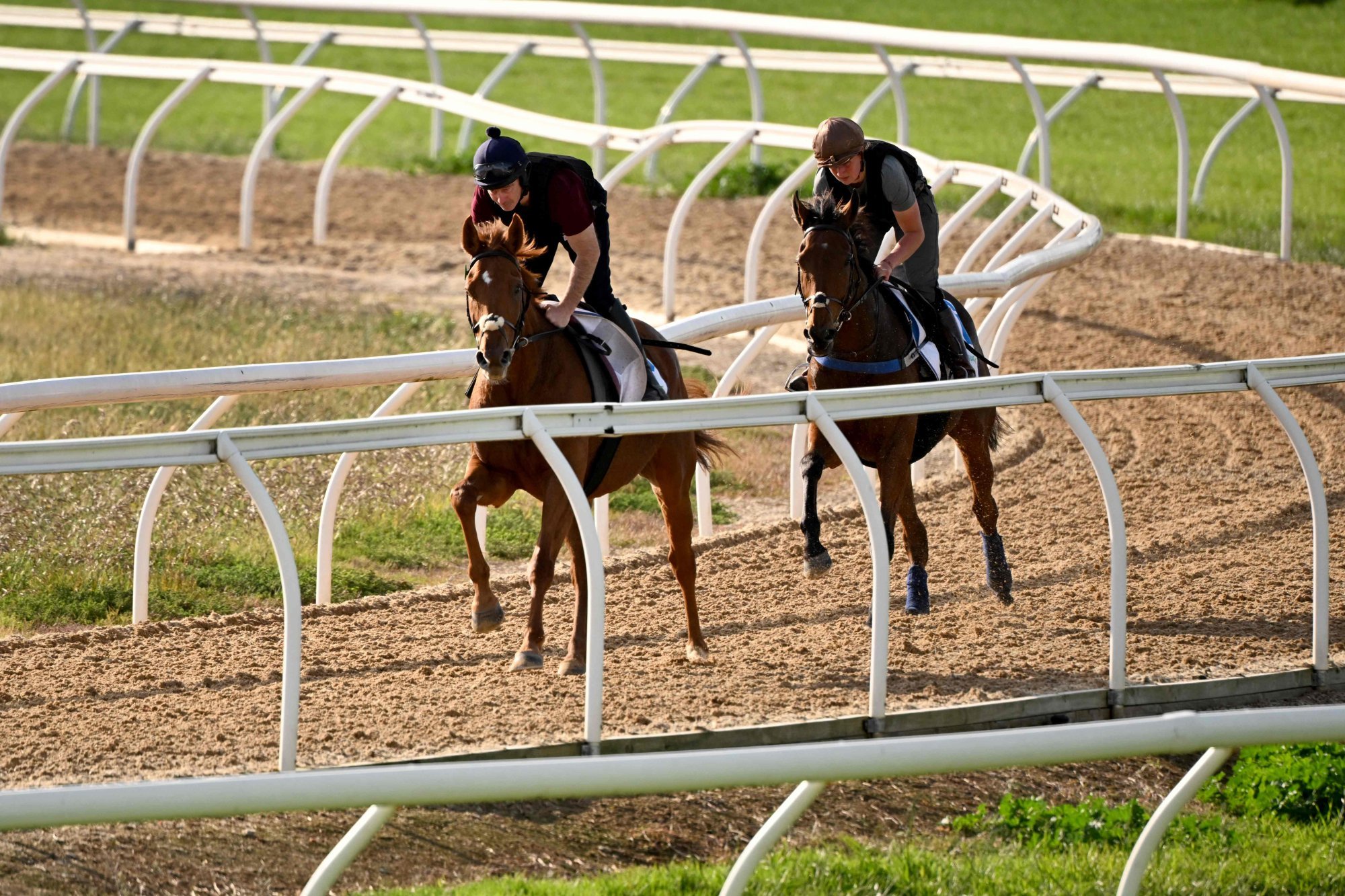 Melbourne Cup: Irish-trained Vauban tipped for glory as Gold Trip targets another win | HK ...