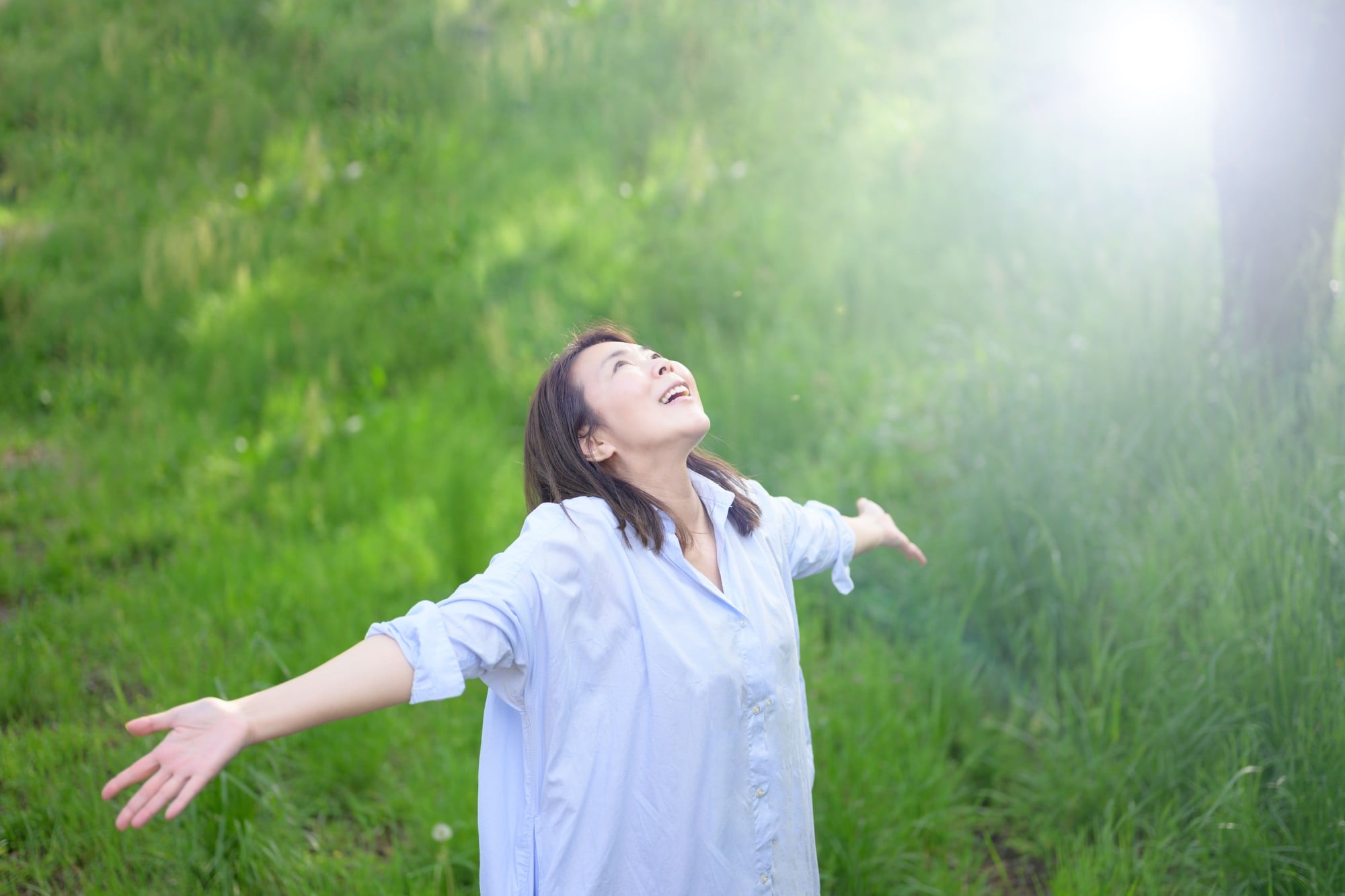 How the vagus nerve – body’s multilane messenger from our brains to our ...