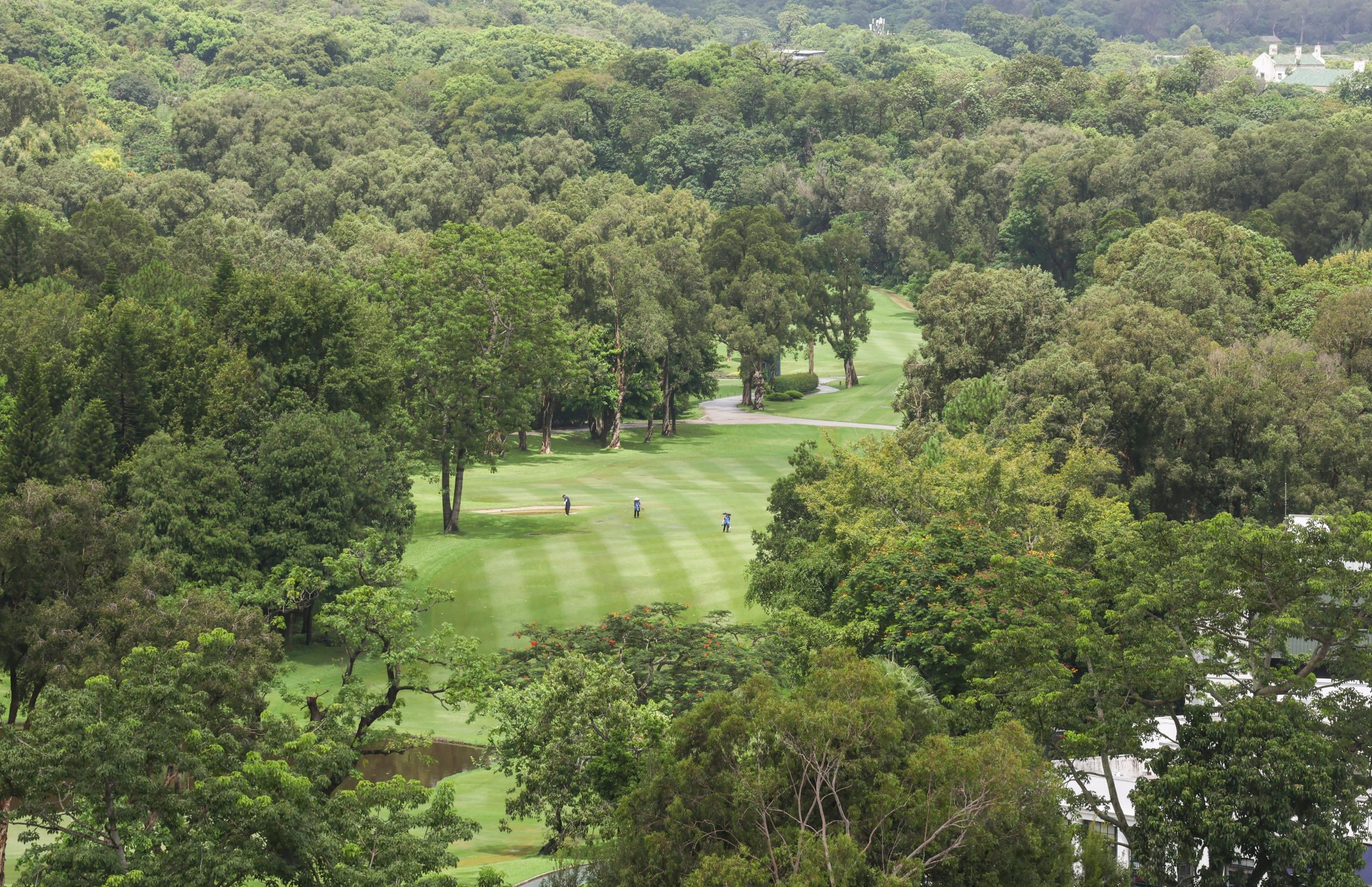 Hong Kong’s Fanling golf course at centre of public housing plan wins ...