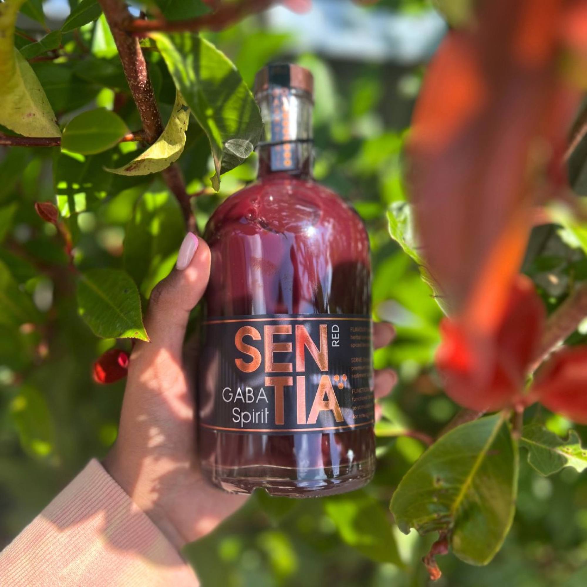 Functional drinks: the new ‘mood making’ alcohol alternatives trending ...