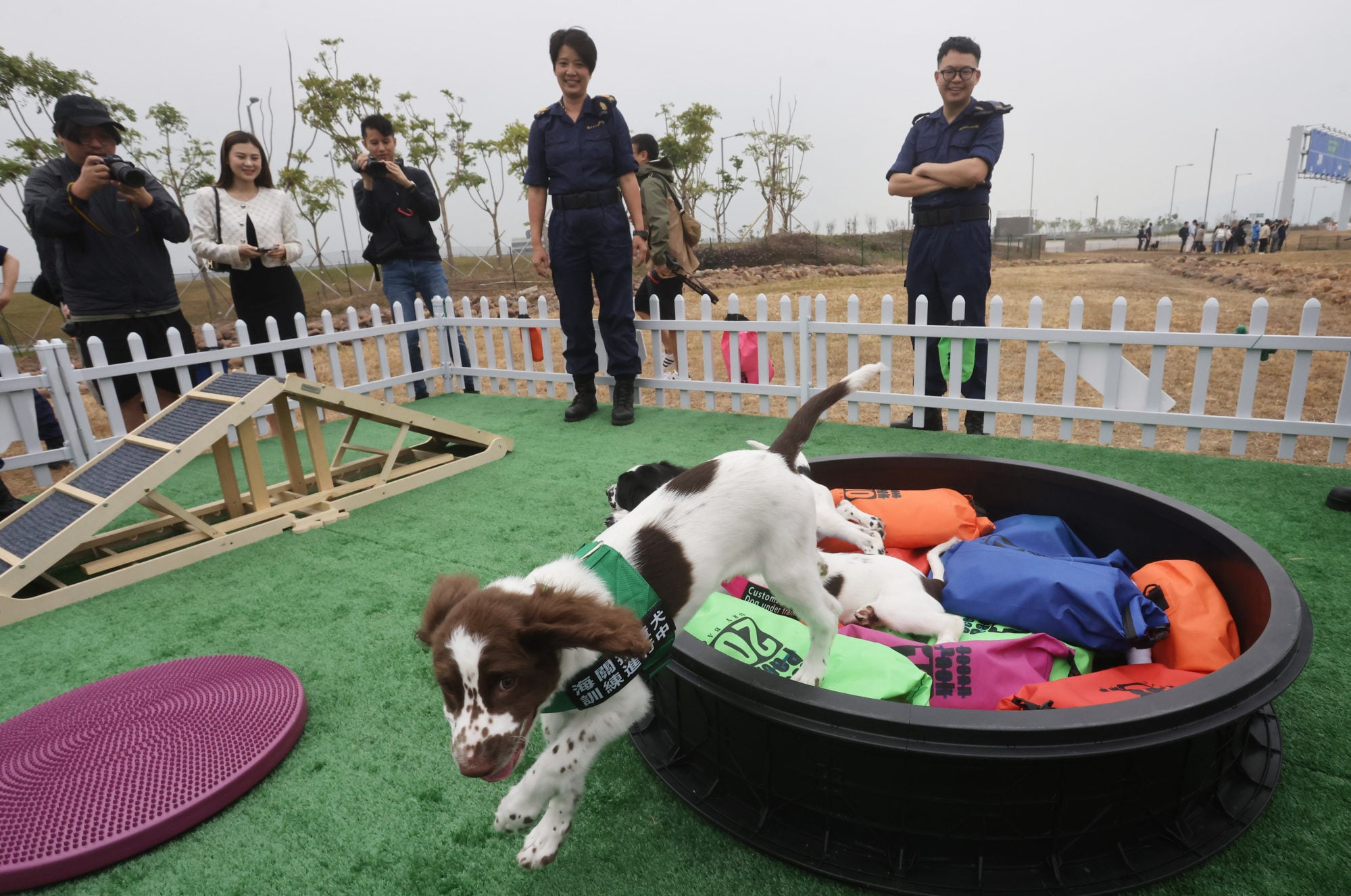 Hong Kong customs to offer regional sniffer dog training after its ...