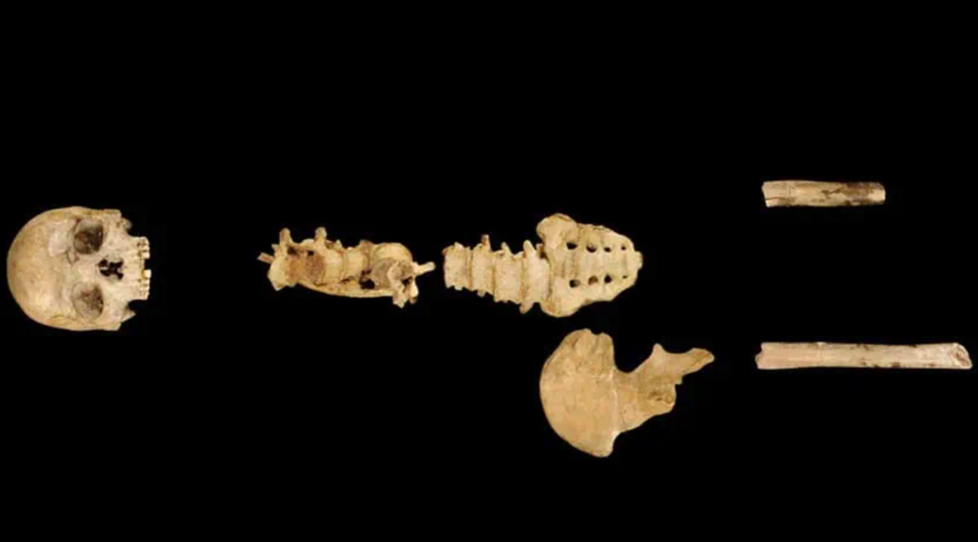 China ‘Liujiang Man’ skeleton originally believed to be more than ...