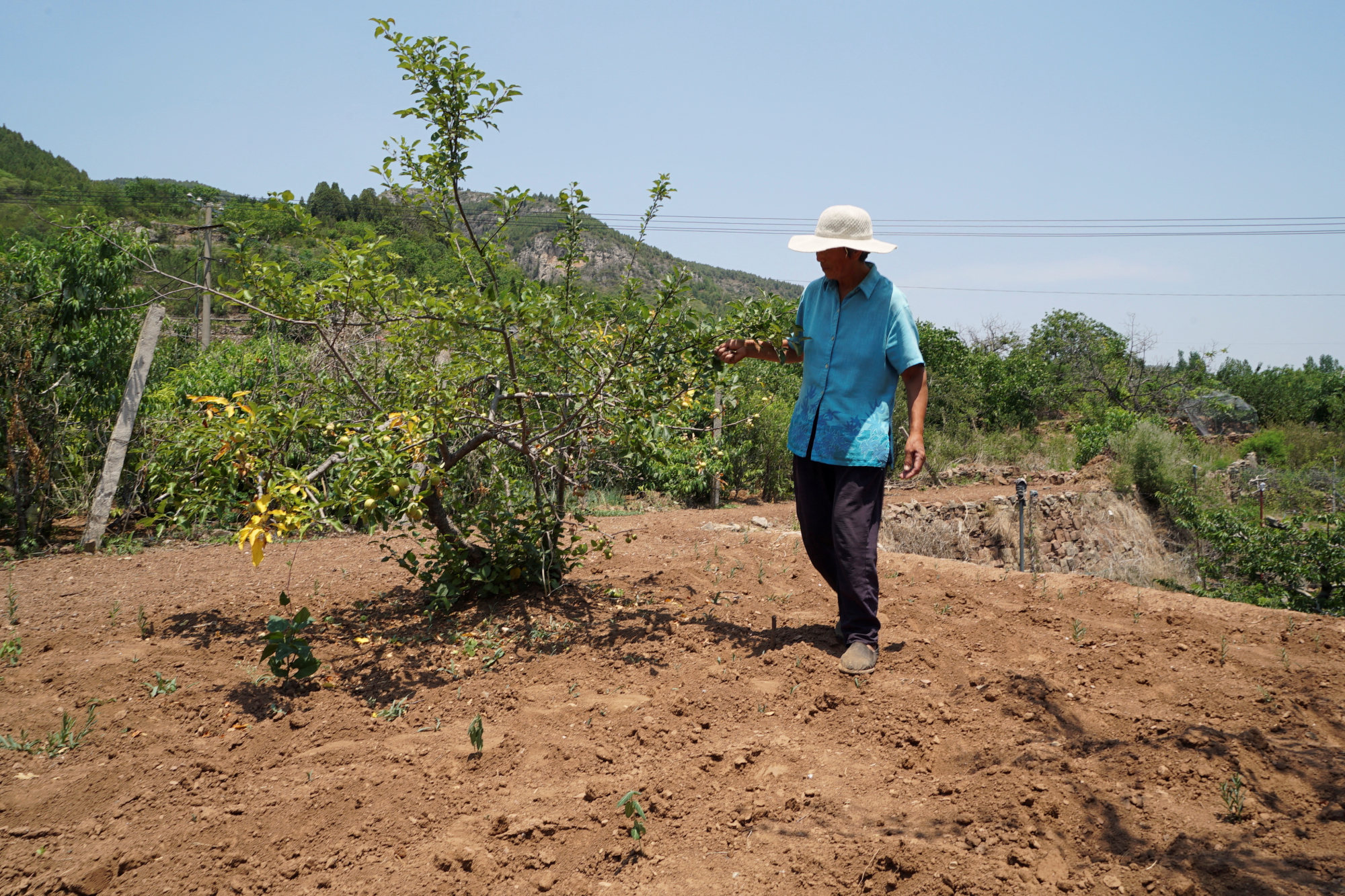 G7 under pressure to fight famine as heatwave, geopolitical crises ...