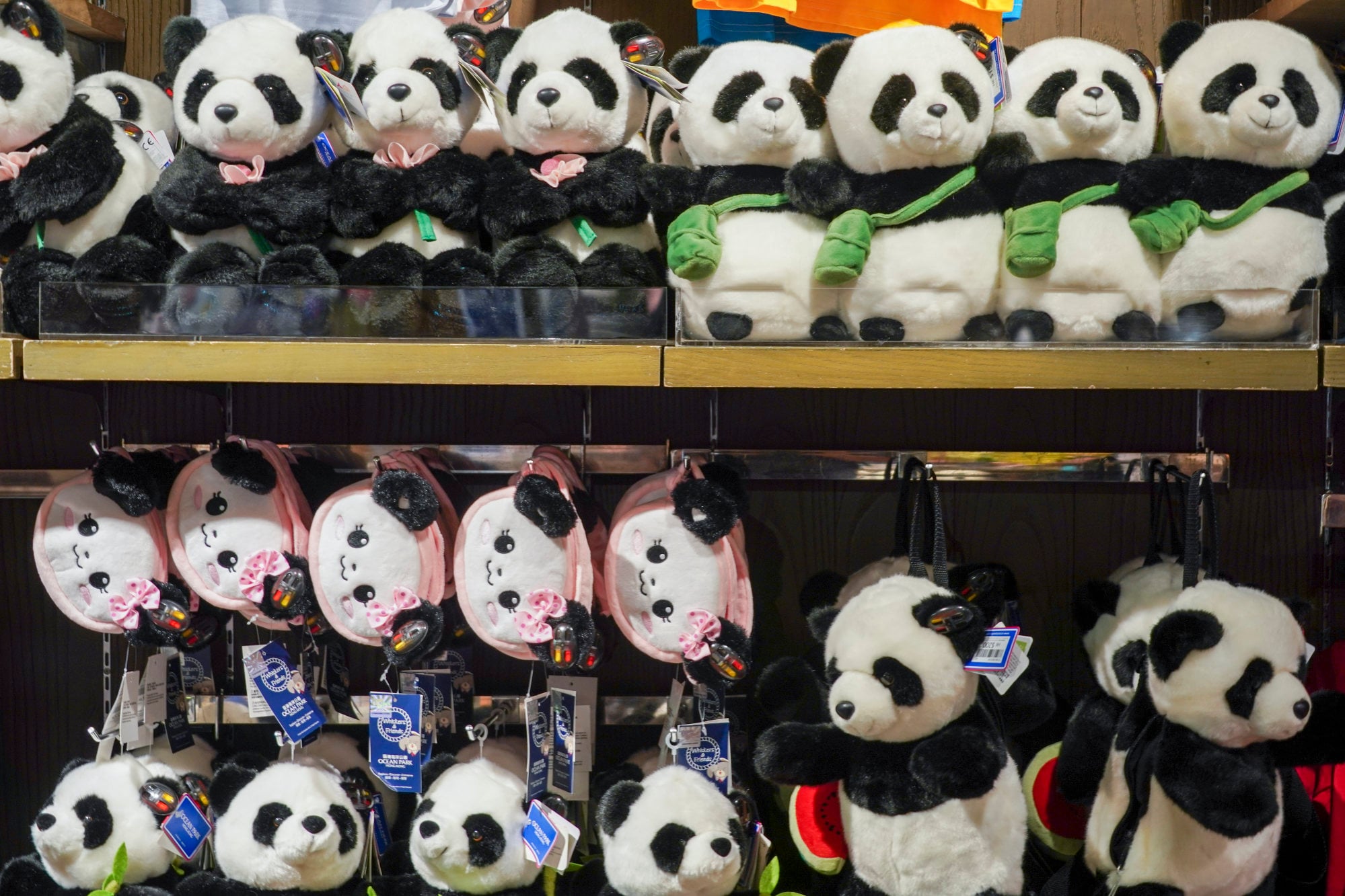 Bear necessities: here’s what you need to know about giant pandas ...