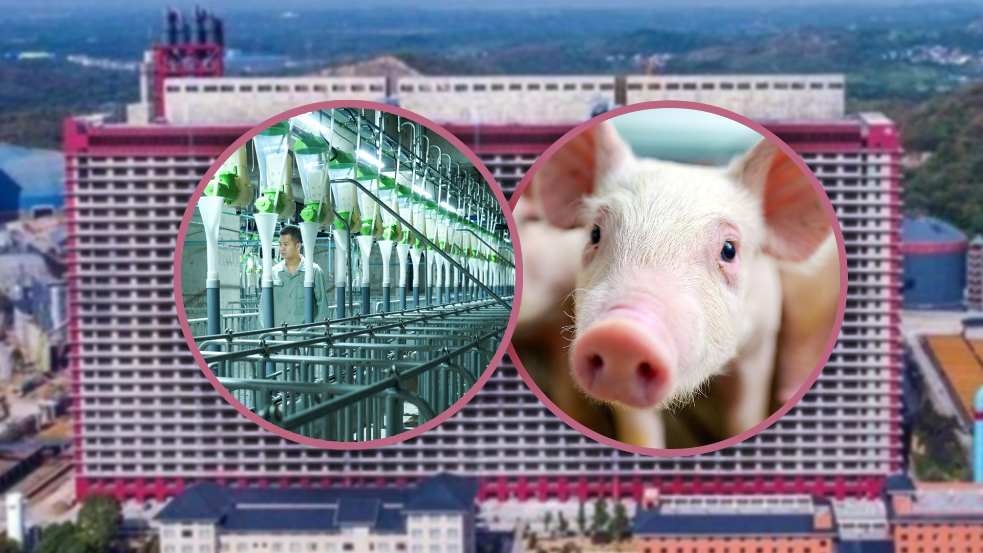 Yating Yang | South China Morning Post