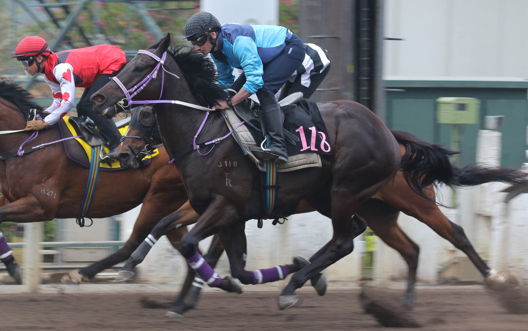 Only Da Best for Chris So’s Sunny as Ryan Moore jumps aboard | HK ...