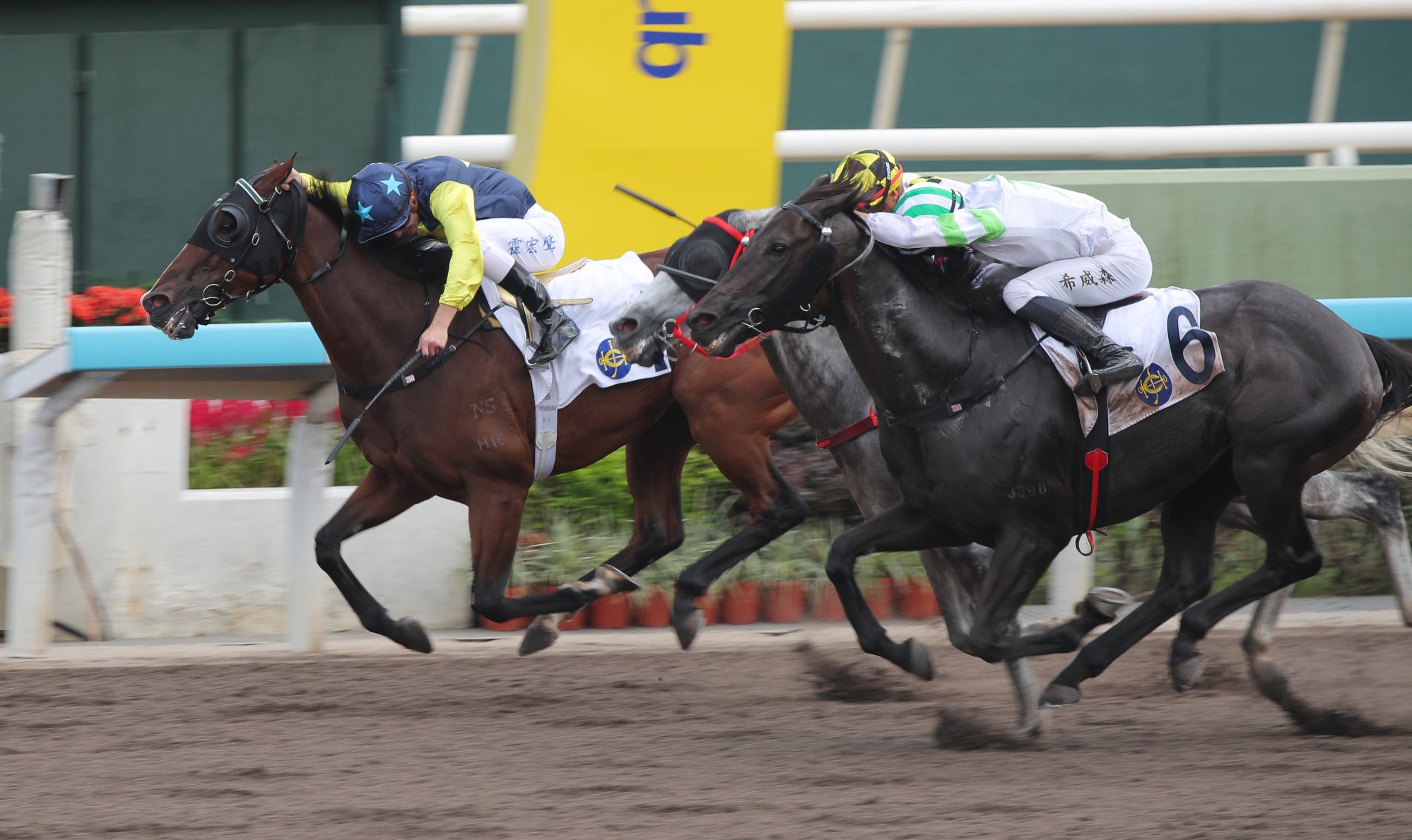 Luke Ferraris bags first three races at Sha Tin to continue red-hot ...