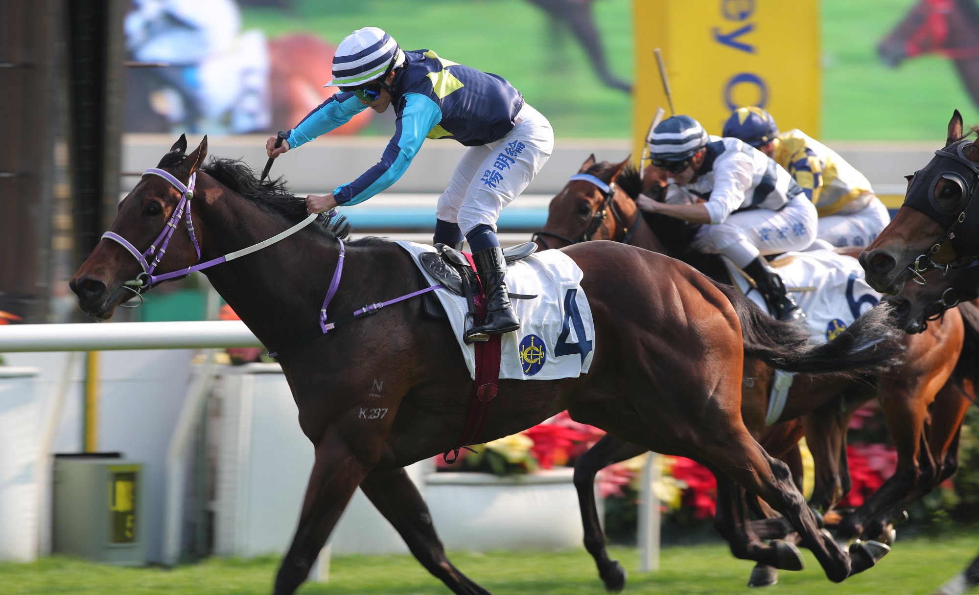 Luke Ferraris bags birthday winner as Mount Everest scales new heights ...