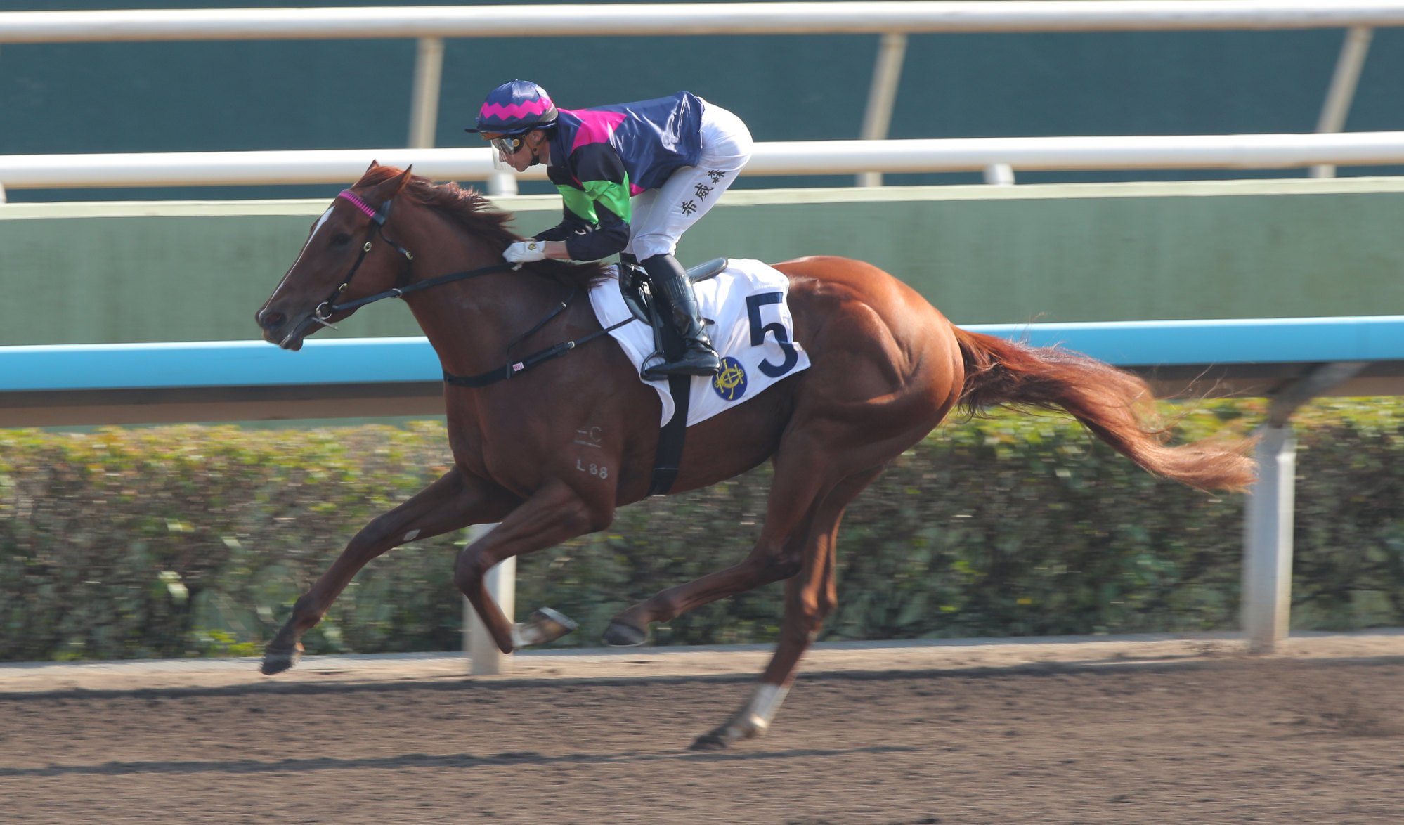 Maxime Guyon extends hot form with double as Mark Newnham unveils smart ...