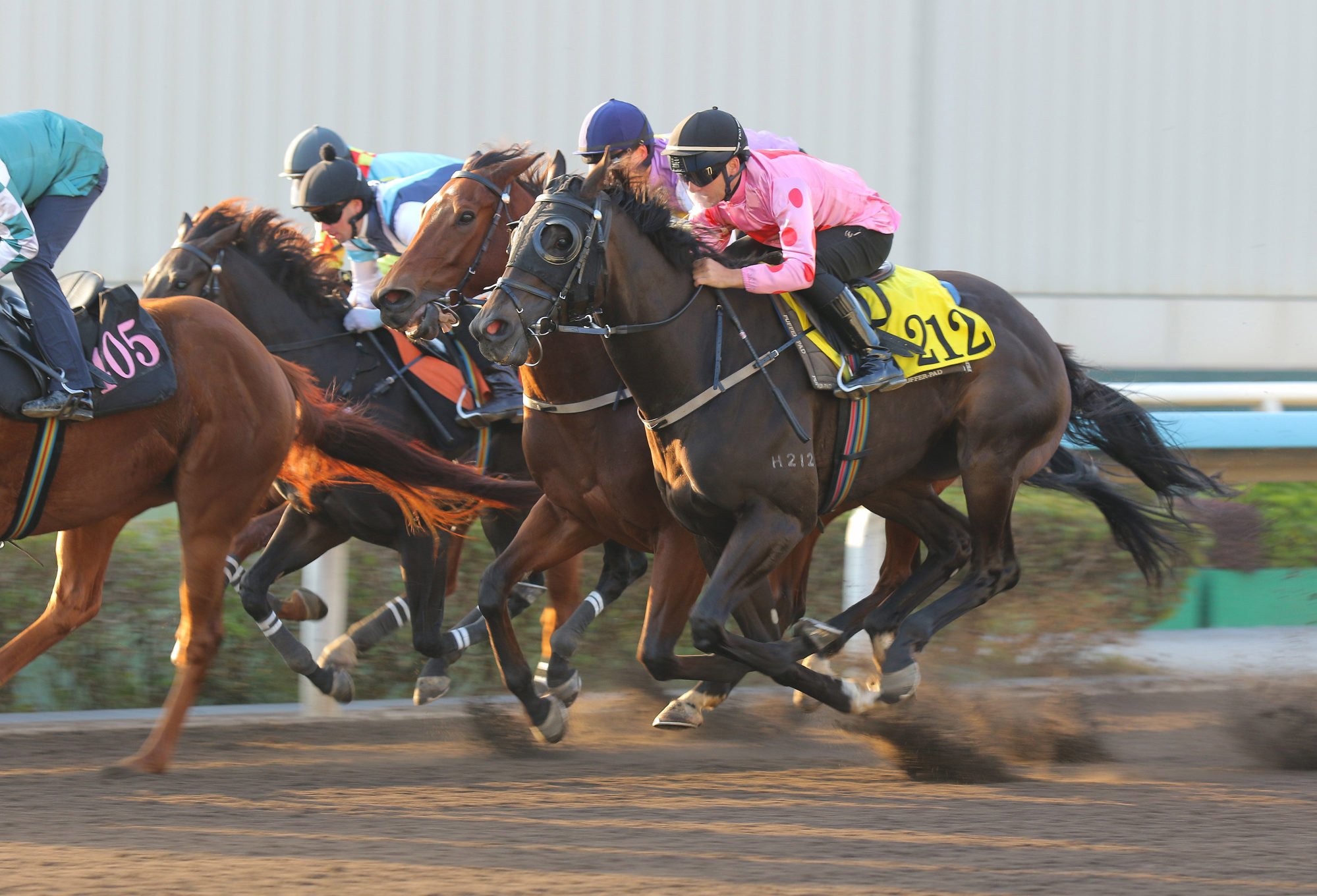 Francis Lui leaving nothing to chance as he looks for January Cup glory ...