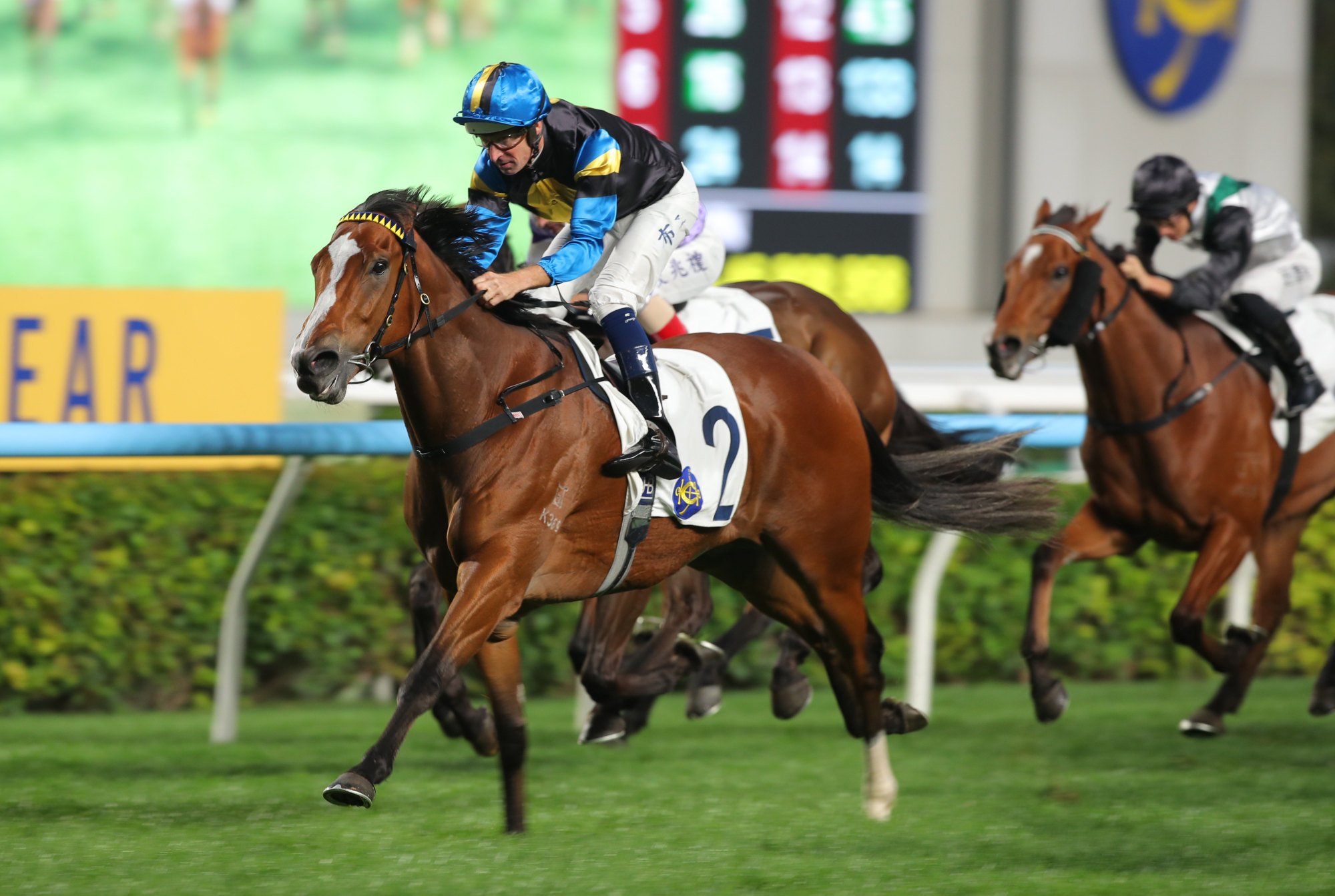 Classic Mile top 10: Invincible Ibis, Sagacious Life lead early ...