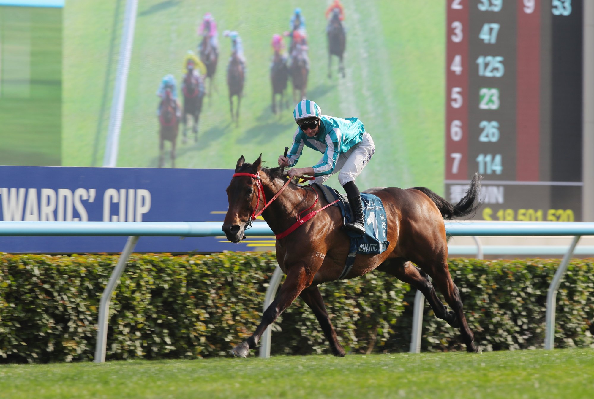 Year of the Horse: meet 3 equine icons who changed the landscape of ...