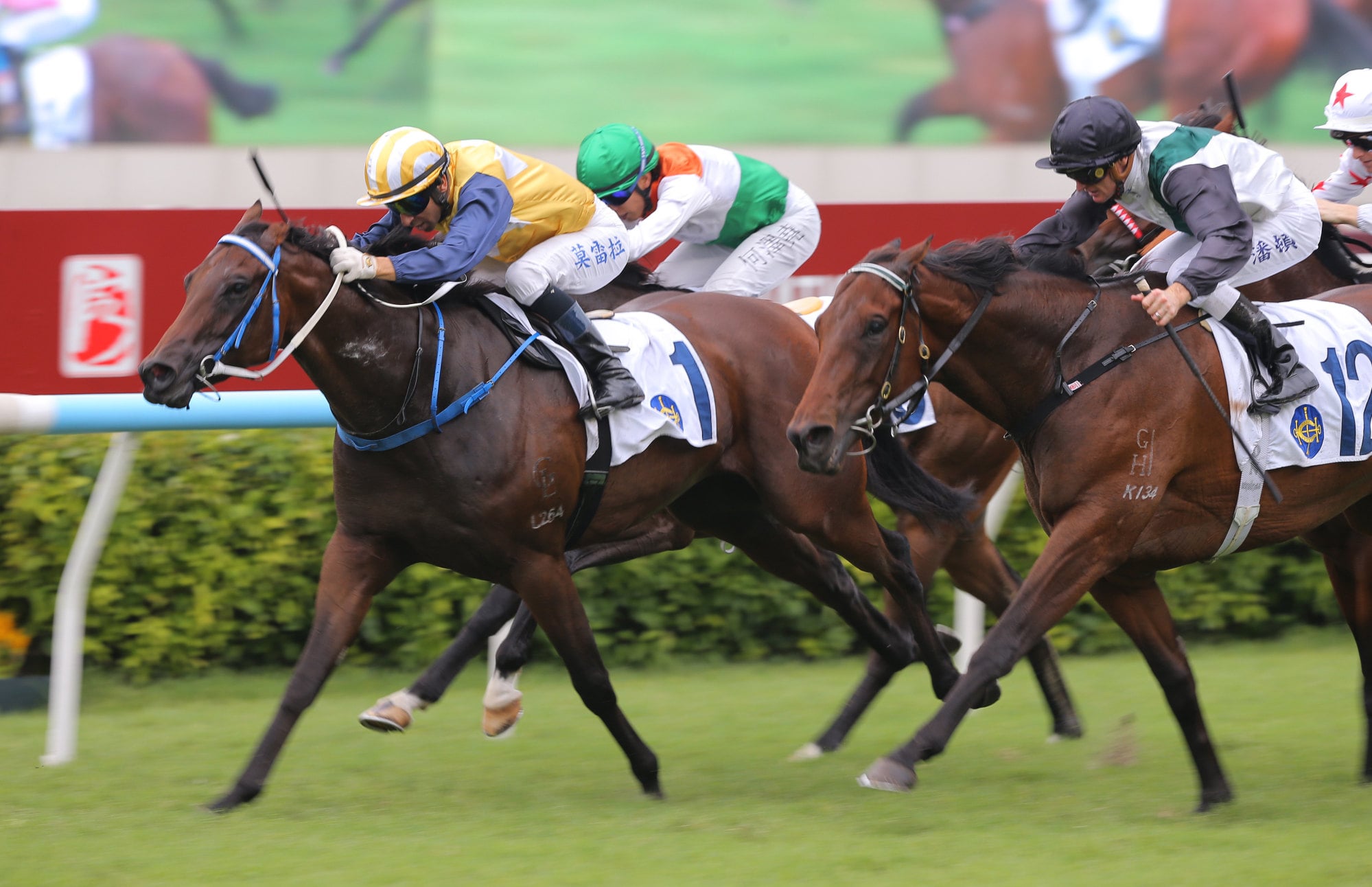 Caspar Fownes draws two clear in championship race as trio of debutants ...