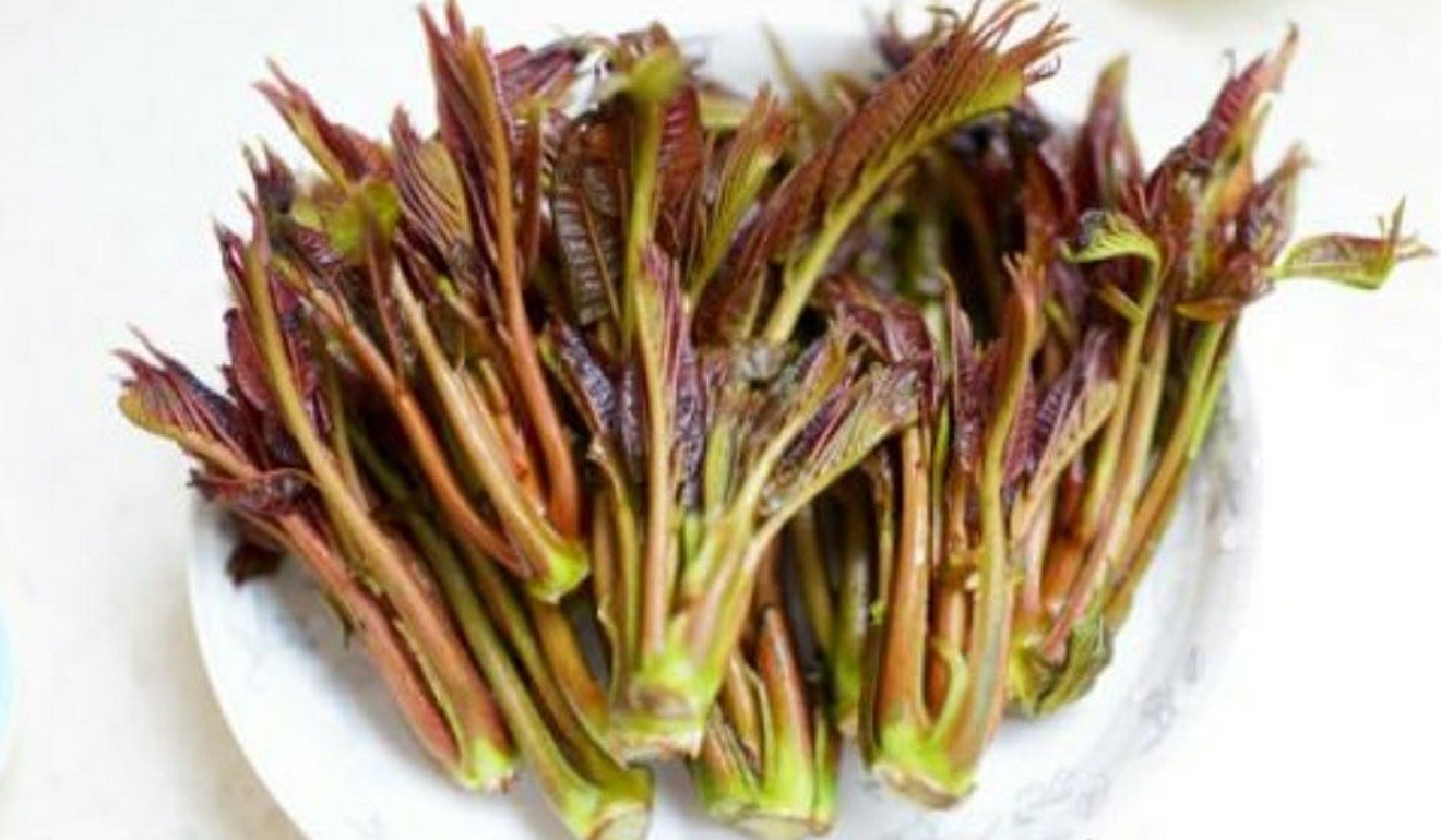 Forget avocado toast: this vegetable is the taste of financial ‘freedom ...