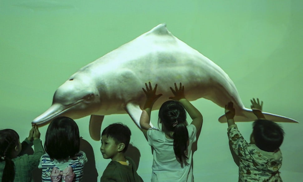 China’s baiji dolphin is virtually extinct, but hi-tech Japanese ...
