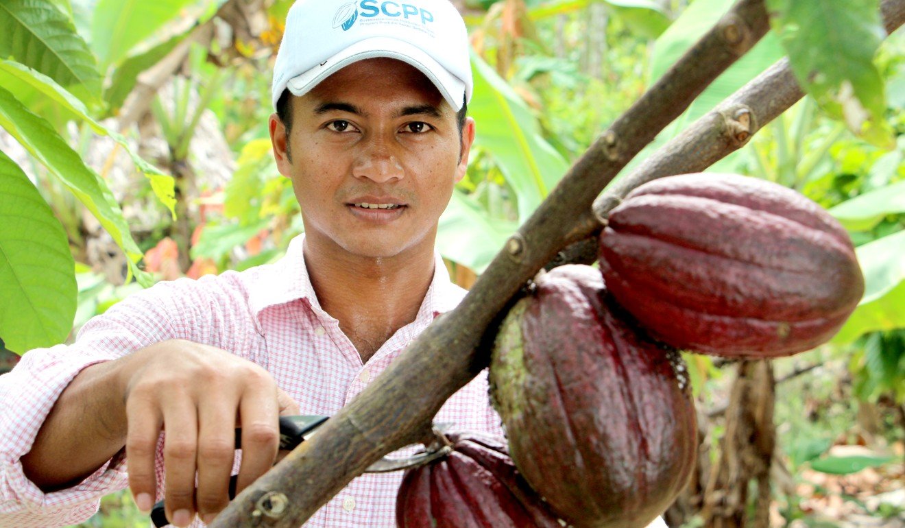 Indonesia’s chocolate dream: sustainable cocoa farming | South China ...