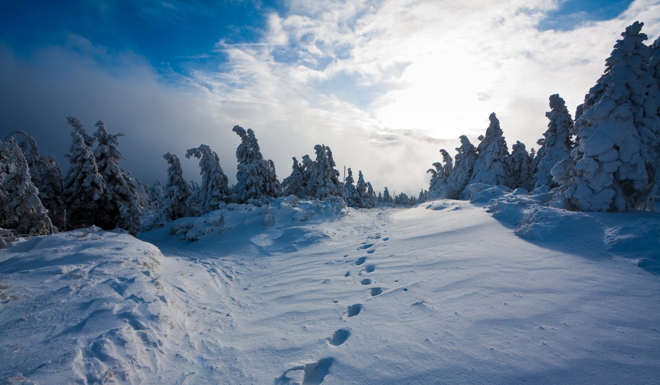 Opinion | Do yetis really exist? It doesn’t matter if you grew up with ...