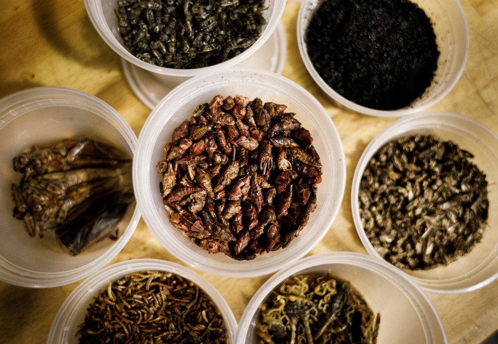 Insect-based foods: why eating bugs will be normal in 10 years ...