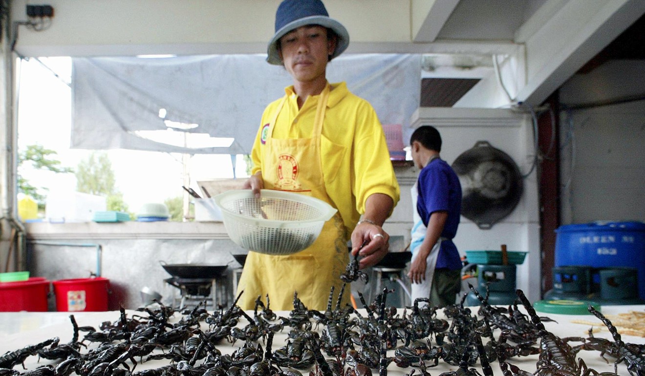 Are edible insects the new sushi? Bug protein market could be worth US ...