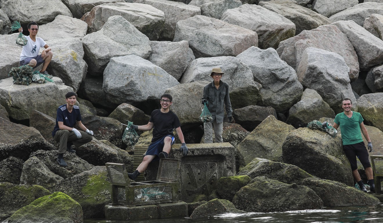 Hong Kong marine ecologists lead ‘eco-shoreline’ project to reshape ...