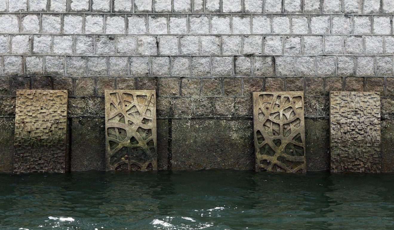 Hong Kong marine ecologists lead ‘eco-shoreline’ project to reshape ...
