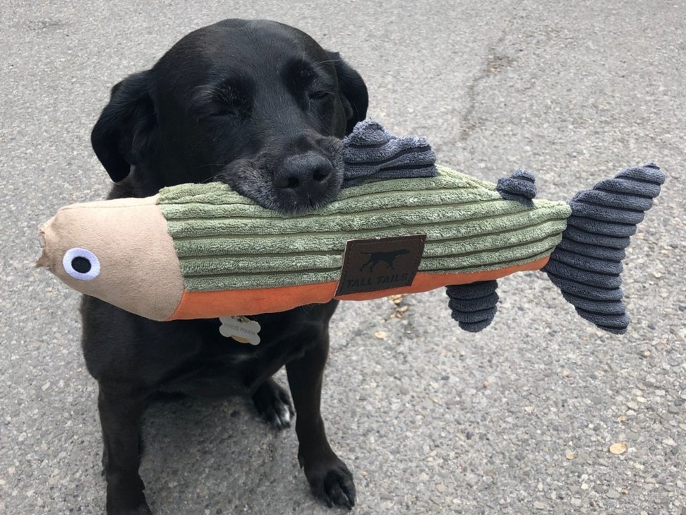 A day in the life of Tash Perrin, Christie’s auctioneer in Midtown ...