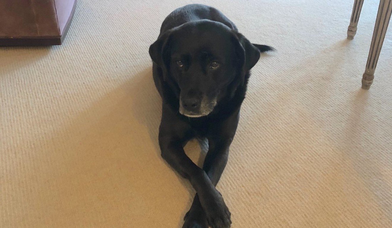 A day in the life of Tash Perrin, Christie’s auctioneer in Midtown ...