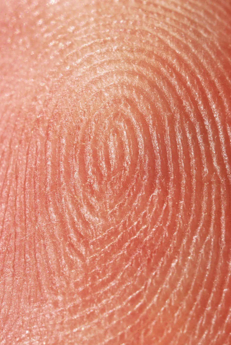 How do human hands differ from animals'? | South China Morning Post