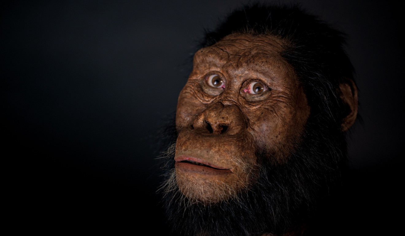 3.8-million-year-old skull found in Ethiopia offers new clues on how ...