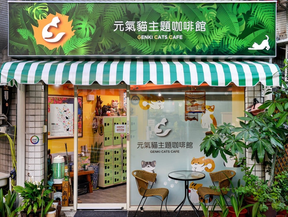 The Taipei cat cafe that’s been winning over city’s dog lovers for 20 ...
