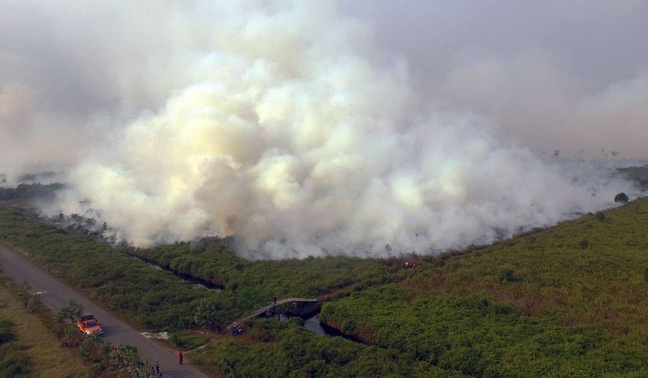 Singapore haze reaches worst level in three years as Indonesian forest ...