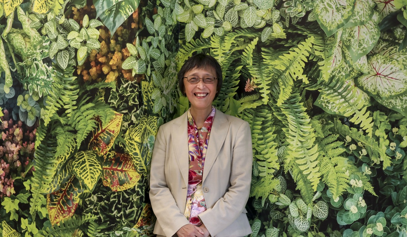 The big picture on health care for the elderly that Hong Kong is ...