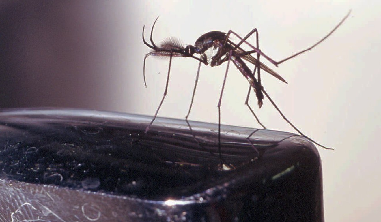 Opinion | Climate change isn’t bad for everyone – disease-carrying ...