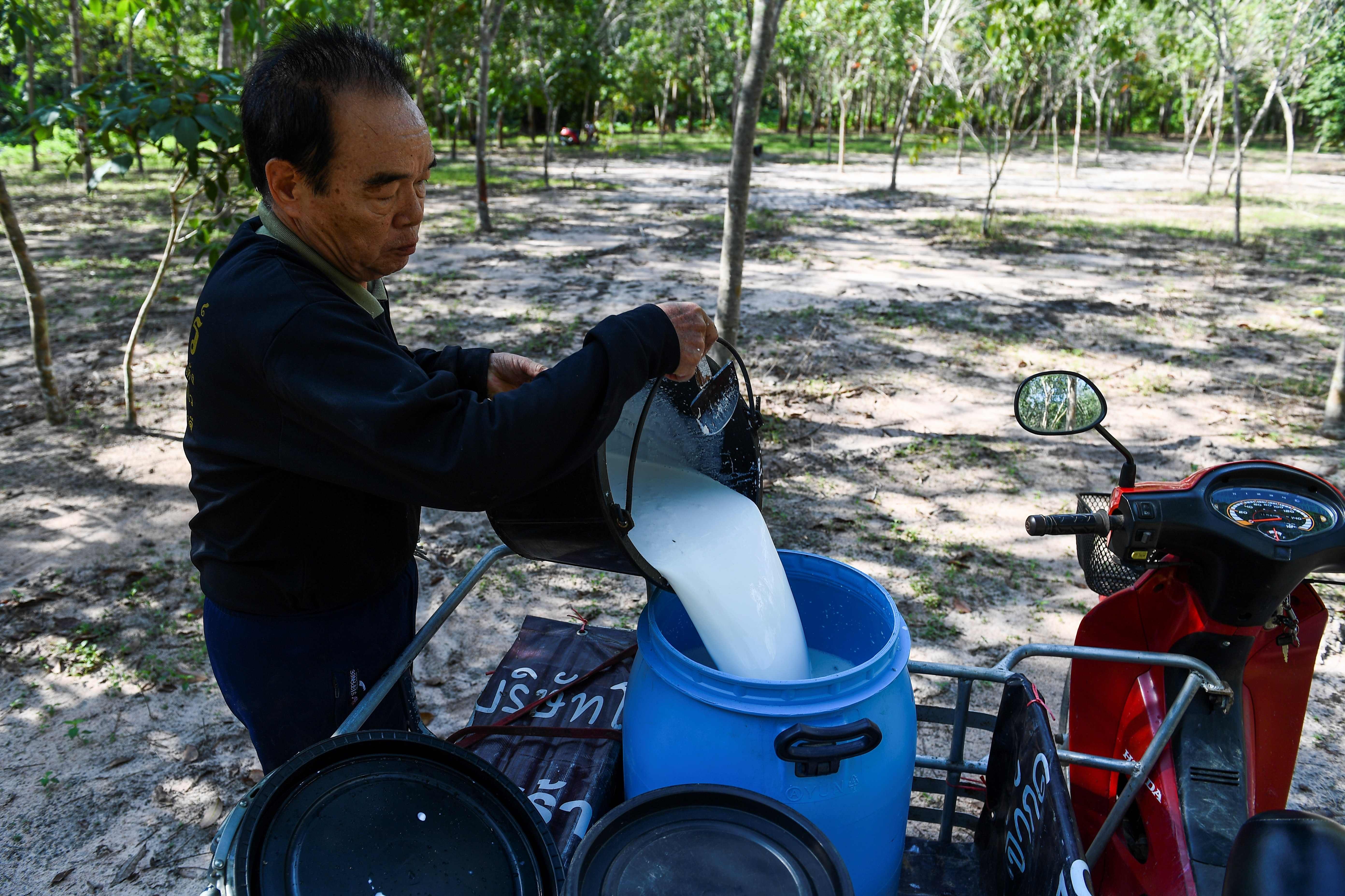 Thailand approves US$792 million in subsidies for rubber farmers, the ...