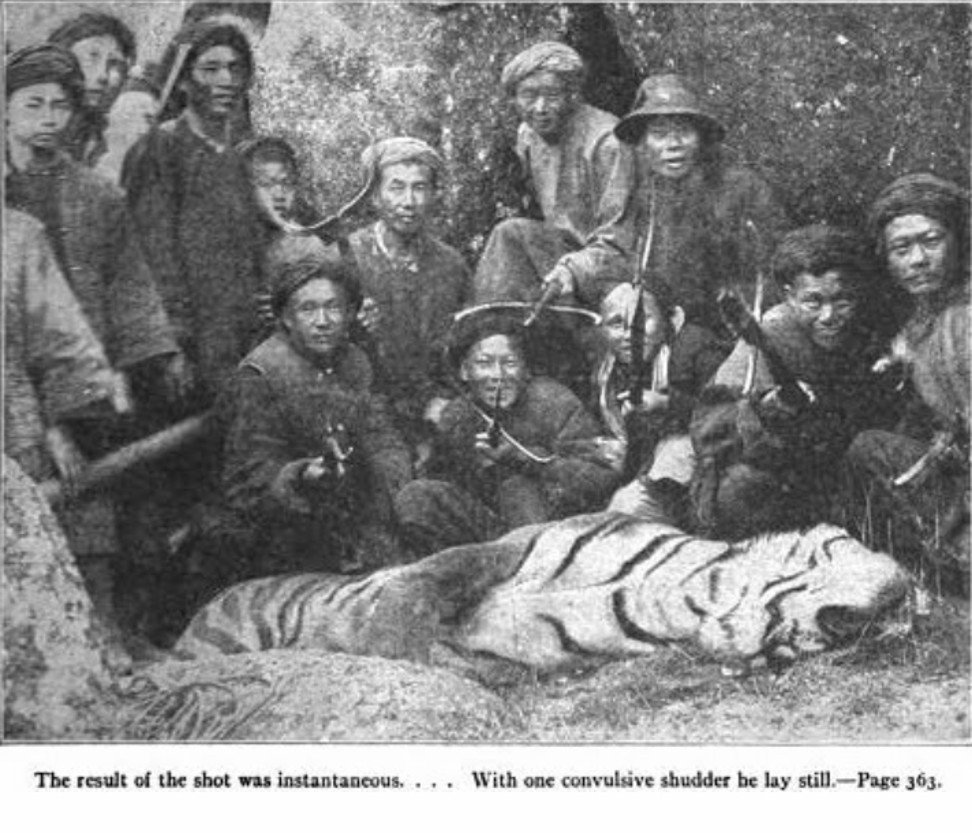 American hunter who hastened demise of the South China tiger, and how ...