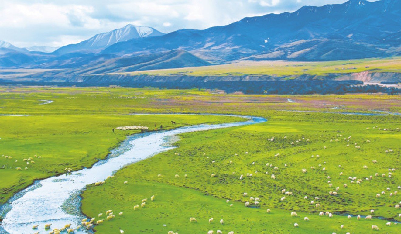 Yellowstone Park to be the blueprint for Chinese network of national ...