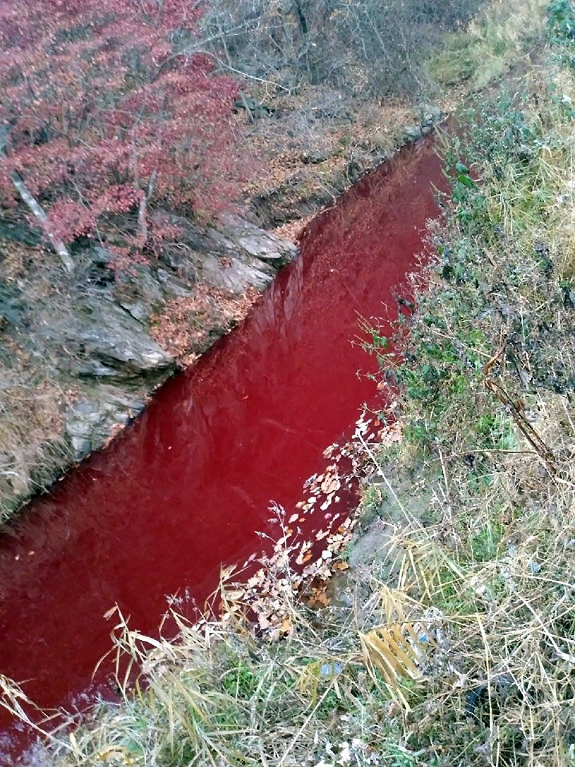 Blood Red Water In Texas
