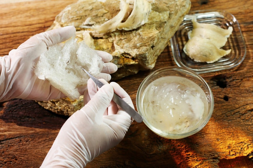 Chinese millennials love bird’s nests, but would you eat bird mucus for ...