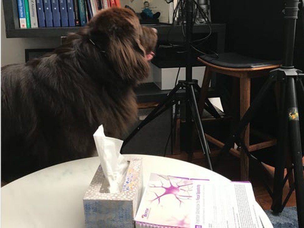 How does YouTube sensation Doctor Mike keep his 4 million subscribers ...