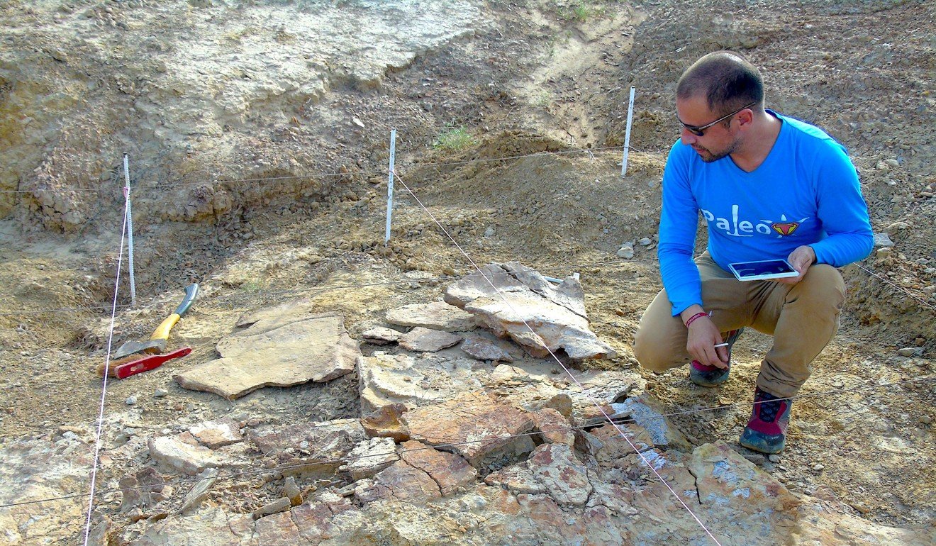 Car-sized prehistoric South American turtle was built for battle ...