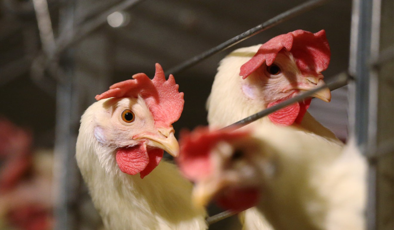 Malaysian man gets 16 months’ jail for stealing more than 10,000 ...