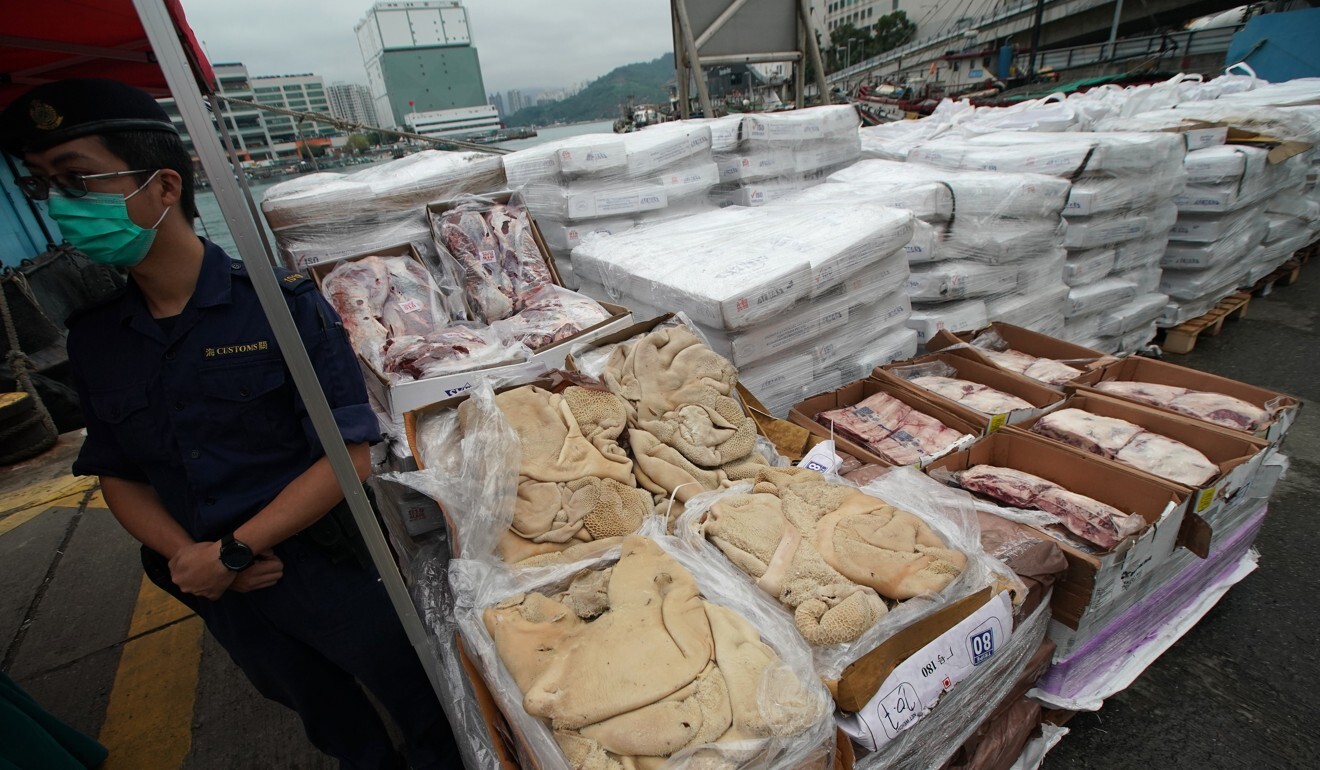 Giant Clams 2 Billion Worth Of Clams Seized In Gensan Philippine