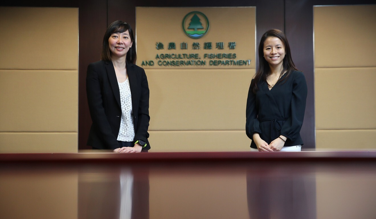 Pets don’t catch coronavirus easily or spread it to other animals ...