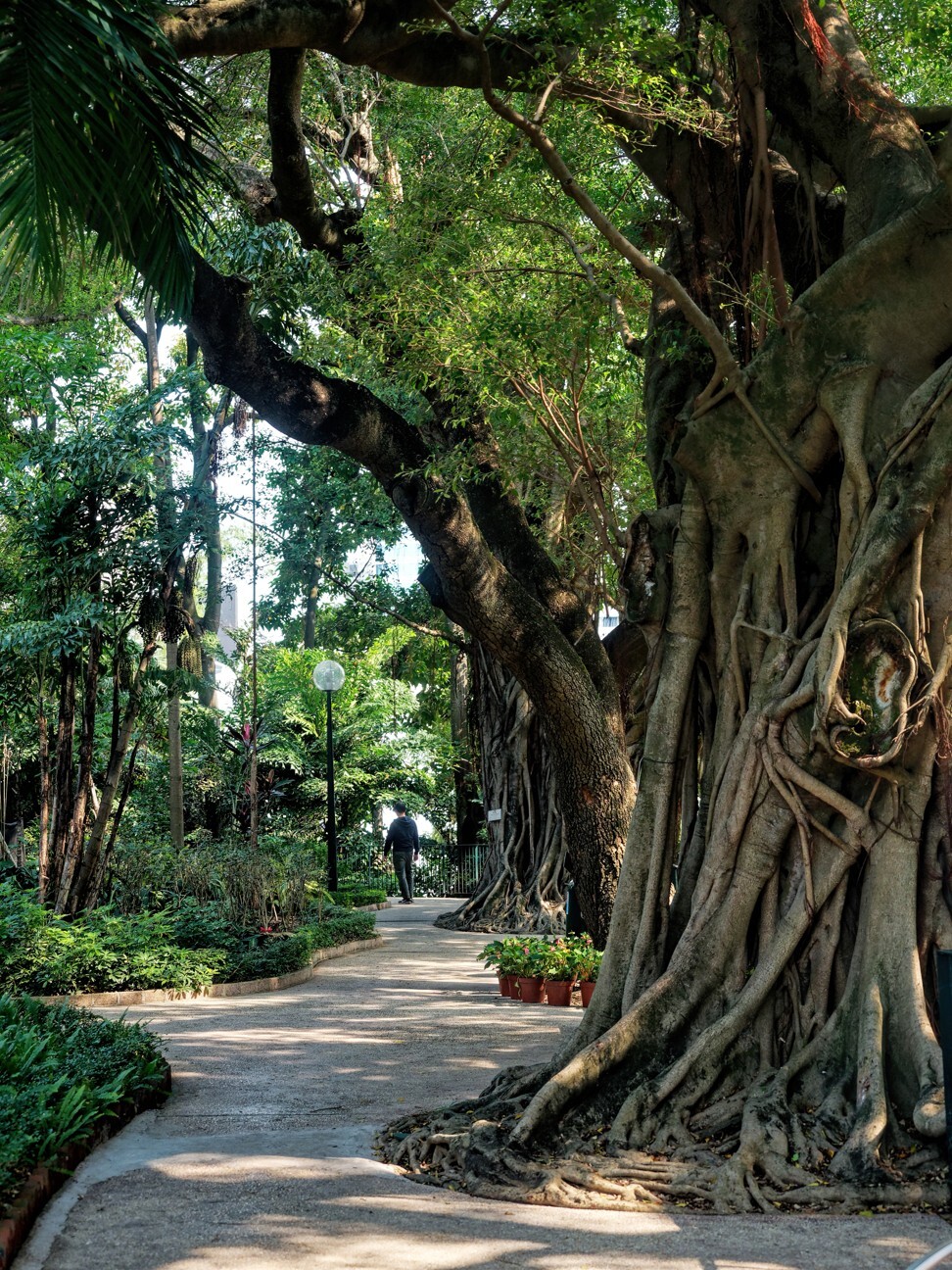 Discover Hong Kong parks on foot – where to go in Kowloon: five pockets ...
